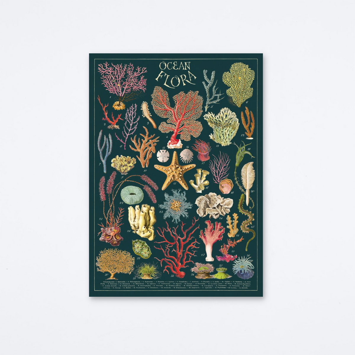 Ocean Flora Wrap — Archer Paper Goods