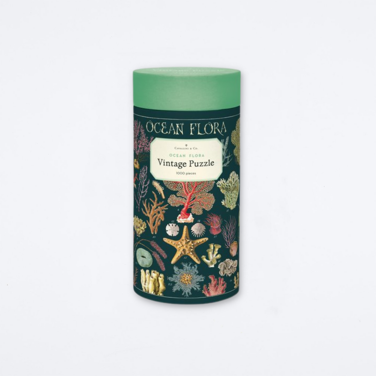 Ocean Flora Puzzle — Archer Paper Goods